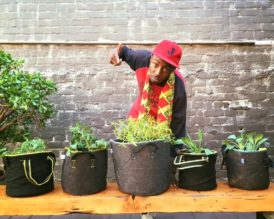 Sprout Life - Denver Urban Spectrum